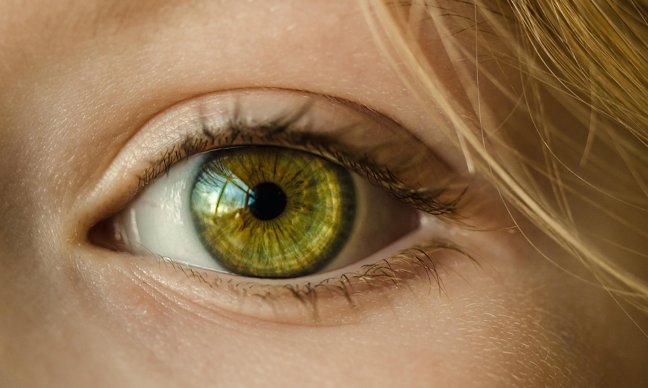 The Inverted Retina – GodSaidManSaid.com